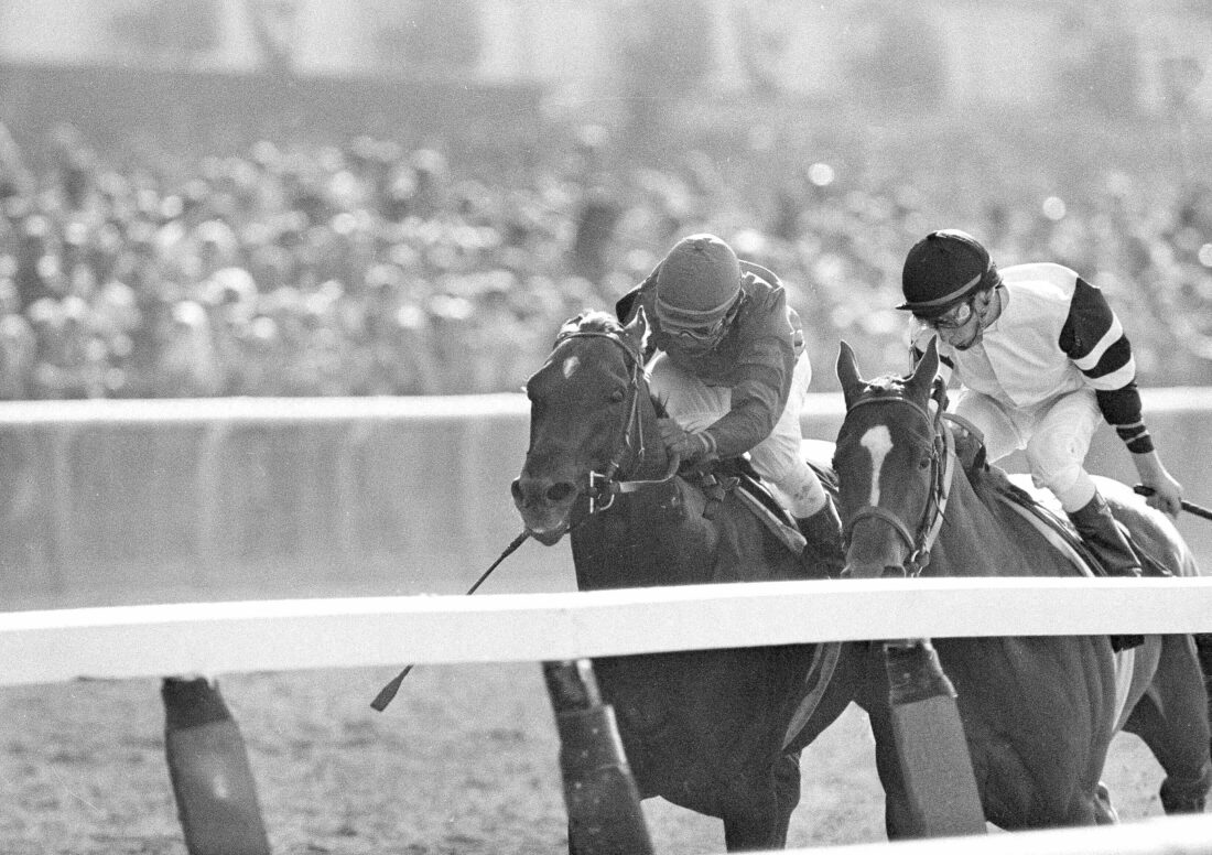 Affirmed wins Triple Crown | News, Sports, Jobs - The Mining Journal